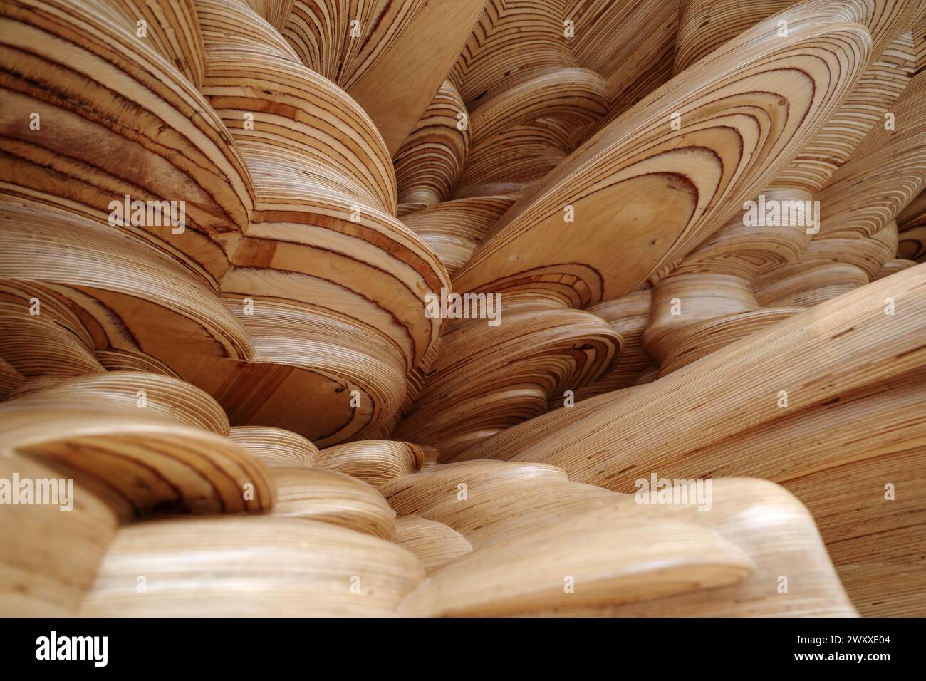 A close-up of a complex, sculptural wooden structure with overlapping ...