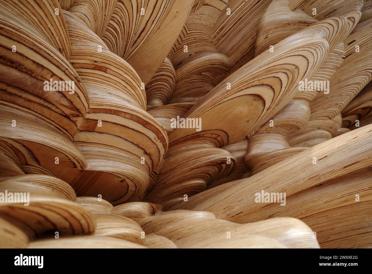 A close-up of a complex, sculptural wooden structure with overlapping ...