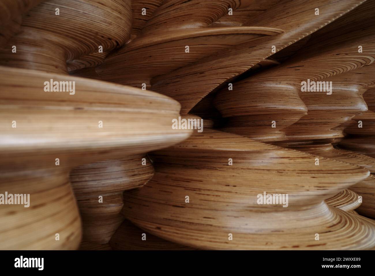 A close-up of a complex, sculptural wooden structure with overlapping ...