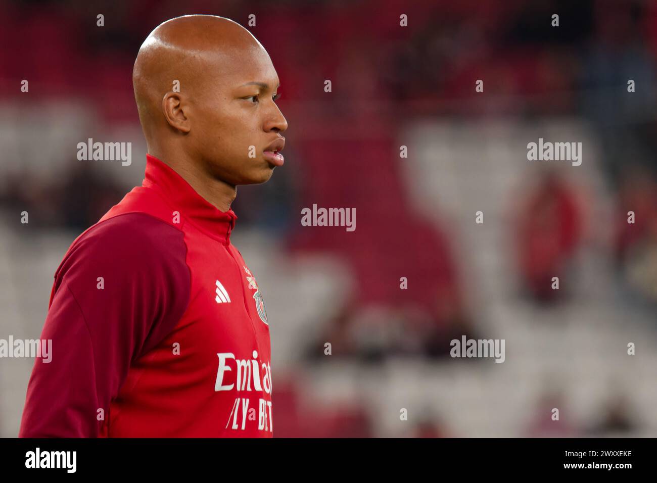 Leo kokubo hi-res stock photography and images - Alamy