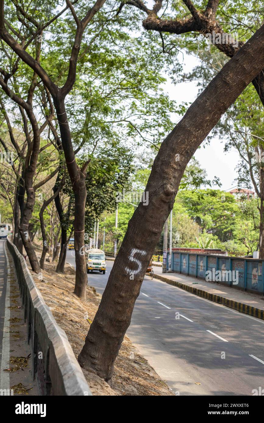 Chittagong elevated expressway ramp hi-res stock photography and images ...
