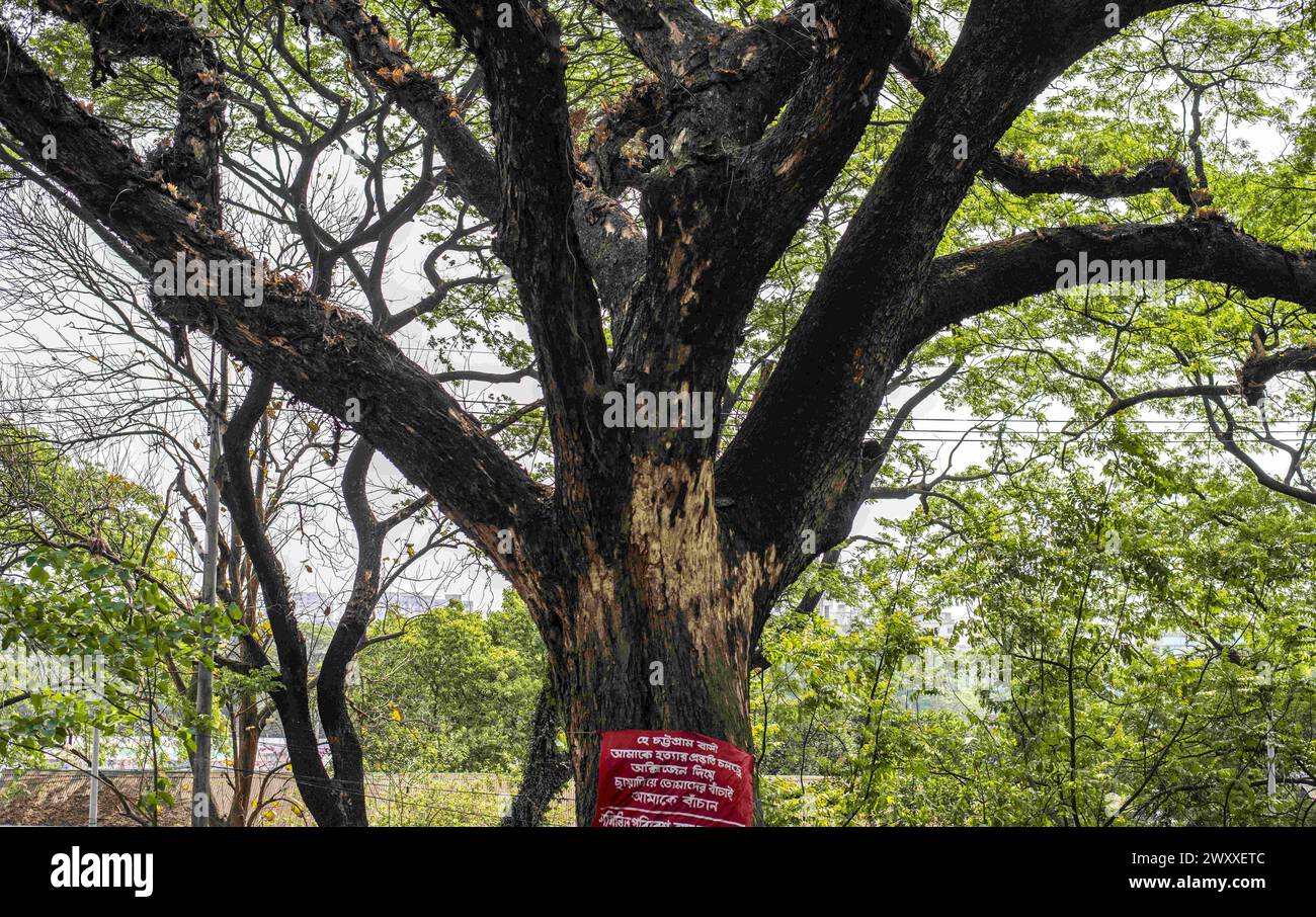 Chittagong elevated expressway ramp hi-res stock photography and images ...