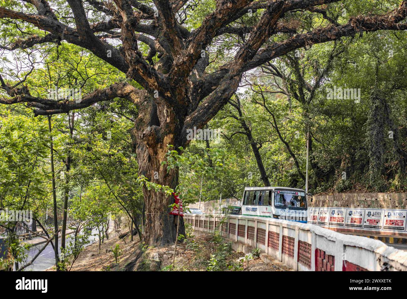 Chittagong elevated expressway ramp hi-res stock photography and images ...