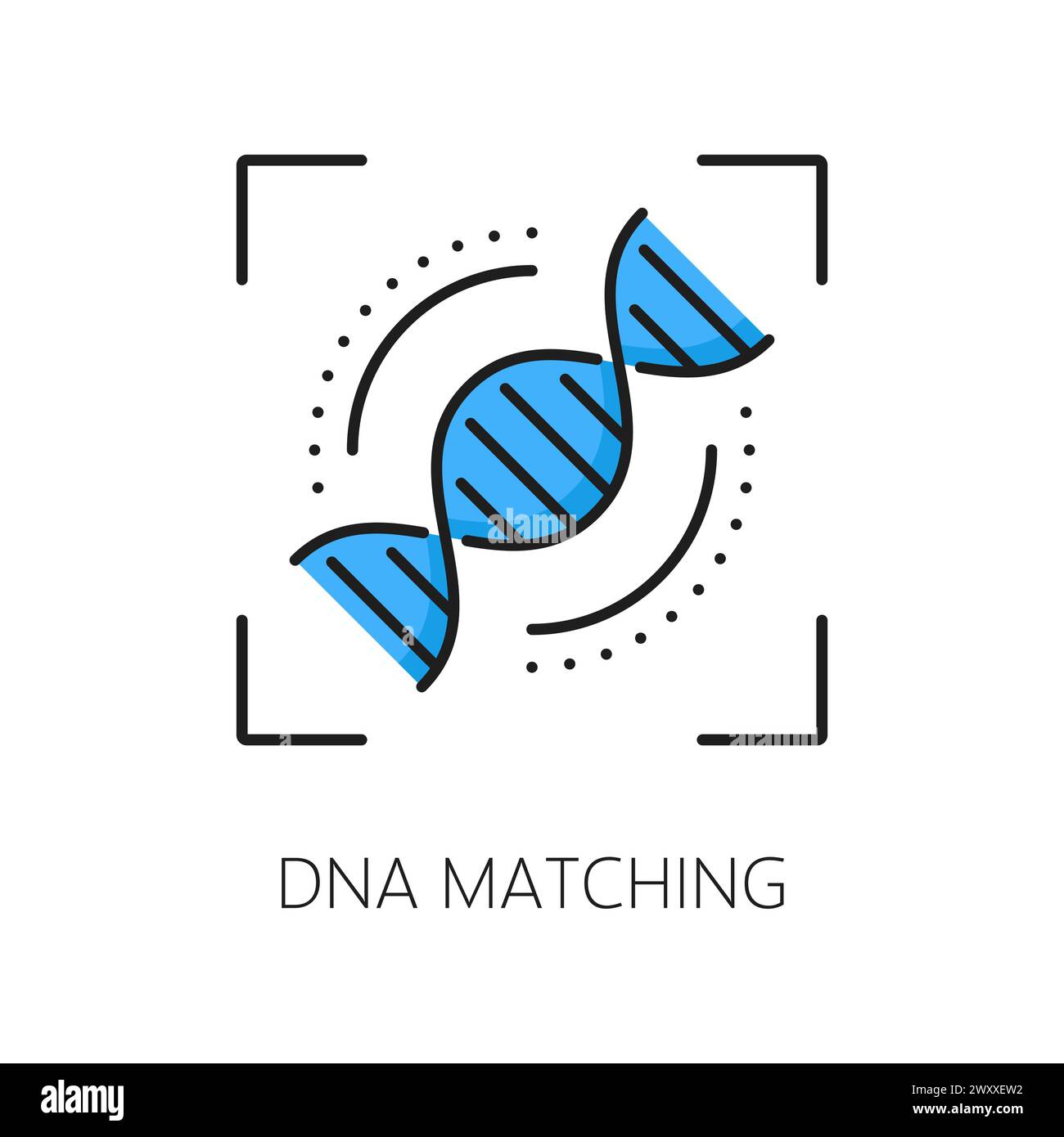 Genetic marker hi-res stock photography and images - Alamy