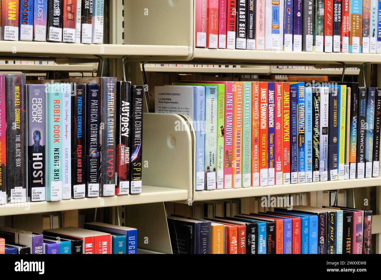 Library shelf with book titles by bestselling American authors Robin ...