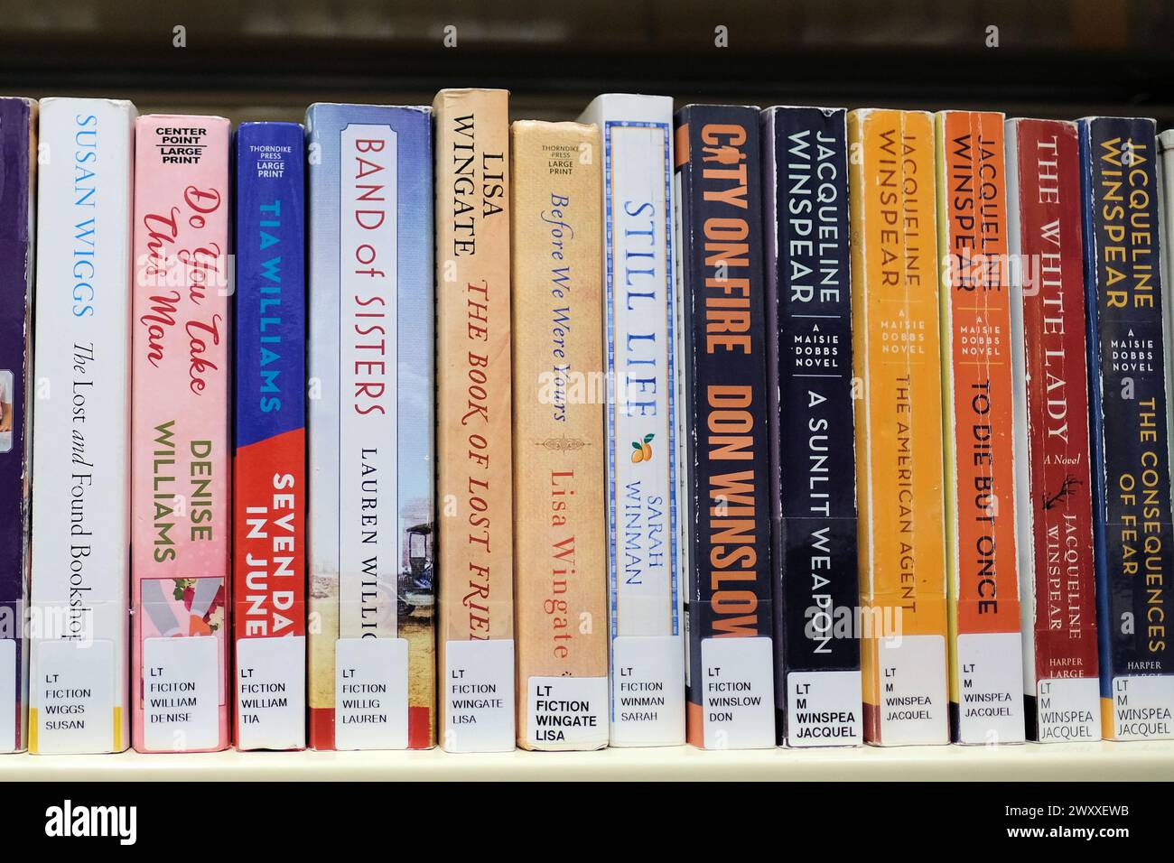 Library shelf with large print books by bestselling authors Susan Wiggs, Denise Williams, Tia ...