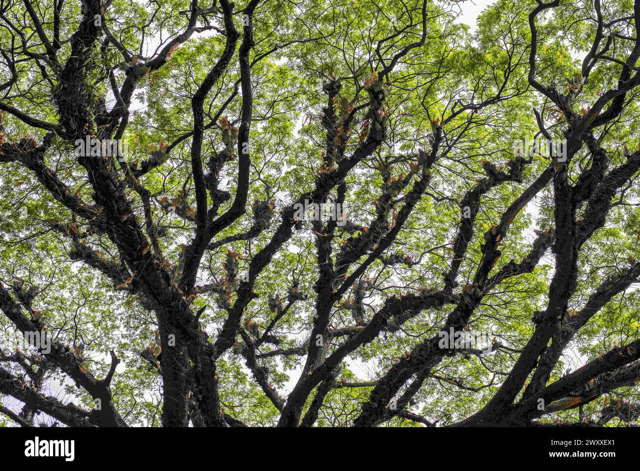 Chittagong elevated expressway ramp hi-res stock photography and images ...