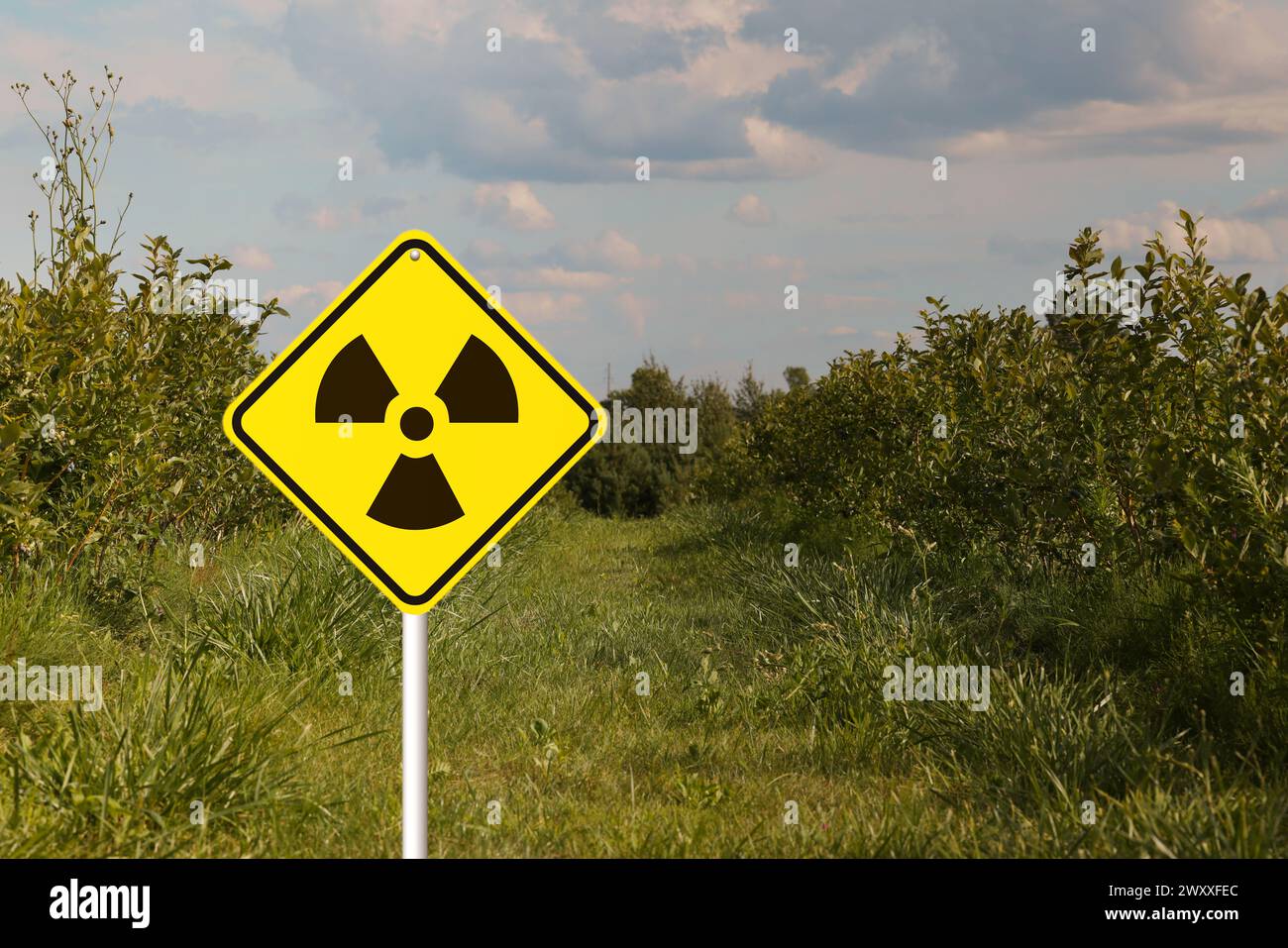 Radioactive pollution. Yellow warning sign with hazard symbol in rural ... Radioactive pollution. Yellow warning sign with hazard symbol in rural ...