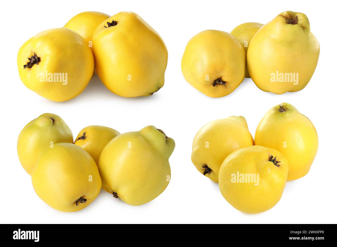Fresh ripe quince fruits isolated on white, set Stock Photo - Alamy