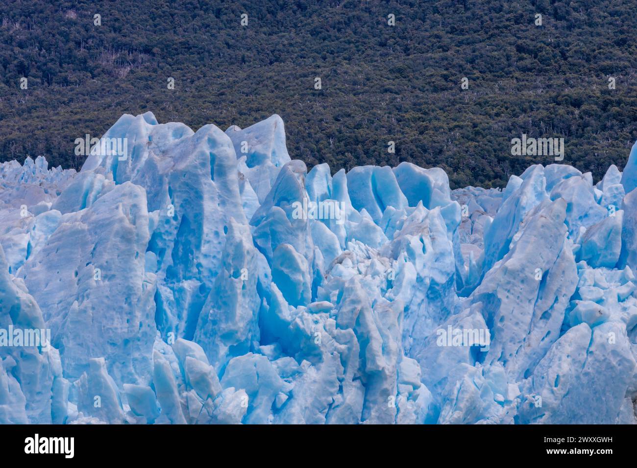 Perito Moreno Glacier blue ice in Patagonia, Argentina. Ice serac and ...