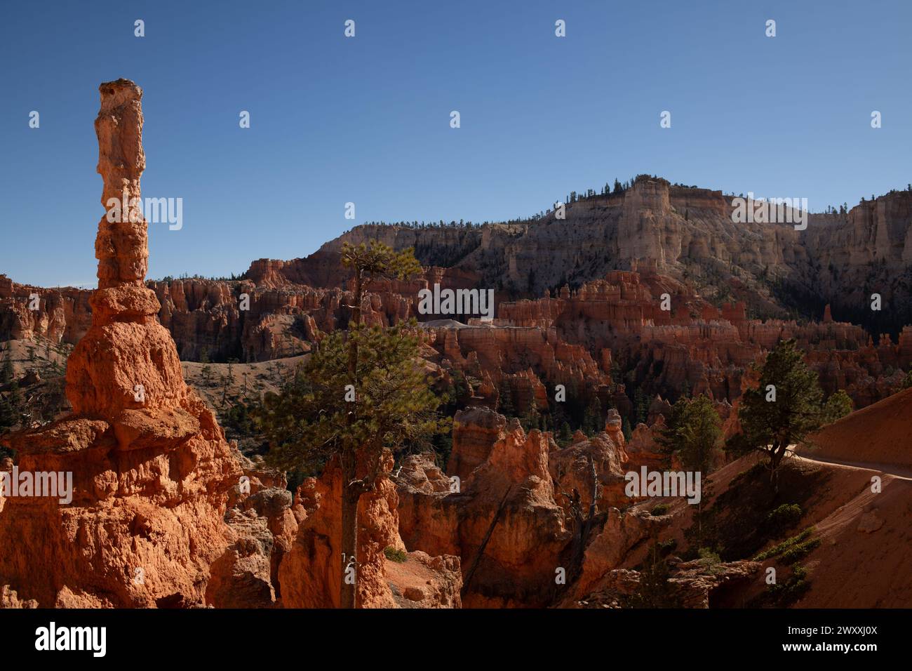 Hoodoo rock formations along the Peek-a-Boo hiking trail in Bryce ...