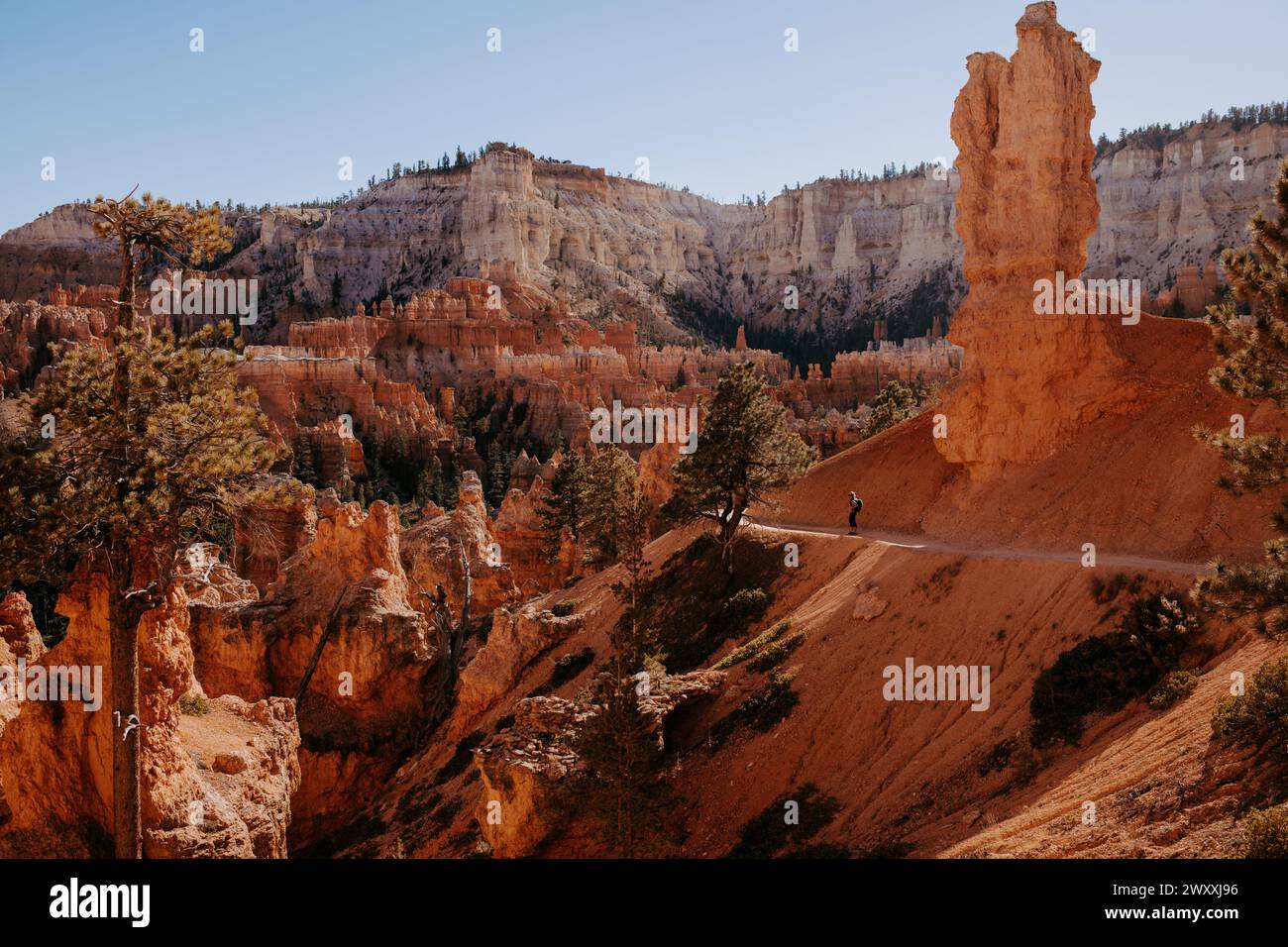 Female hiker looking at hoodoo rock formation in Bryce Canyon, Utah ...