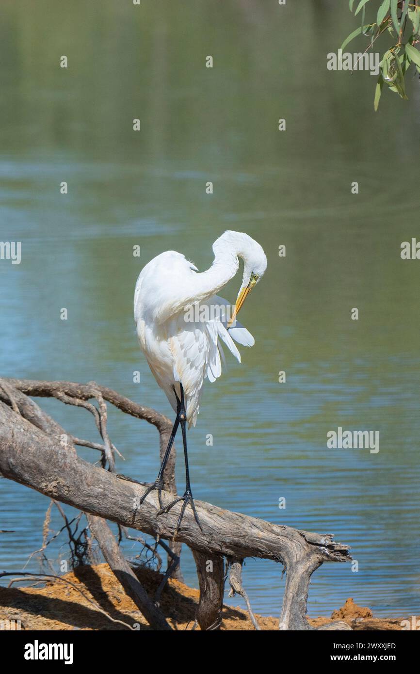 Ellendale lagoon hi-res stock photography and images - Alamy