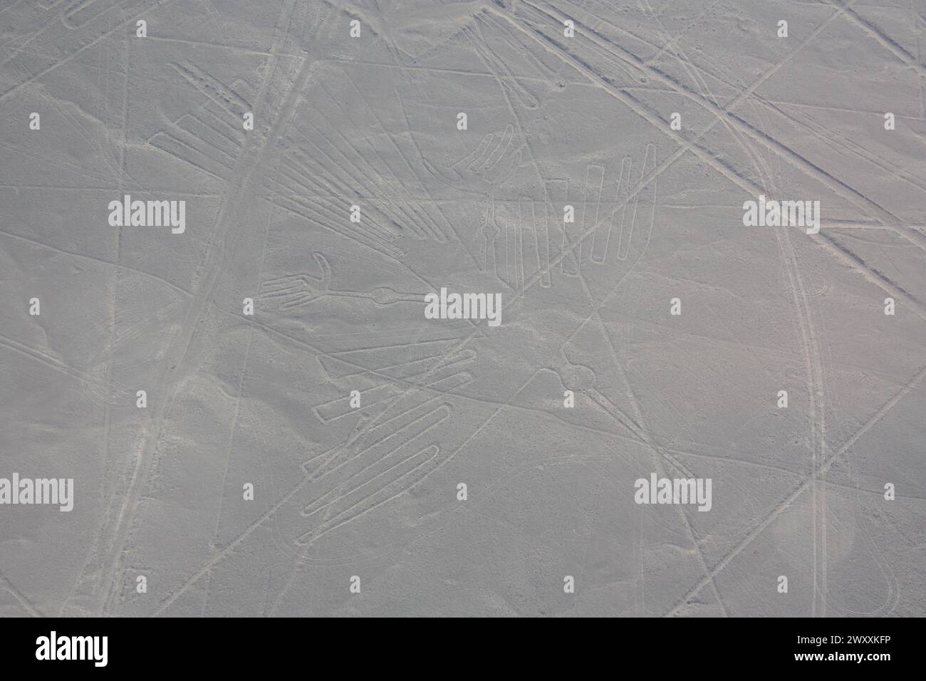 Nazca lines peru desert hi-res stock photography and images - Alamy