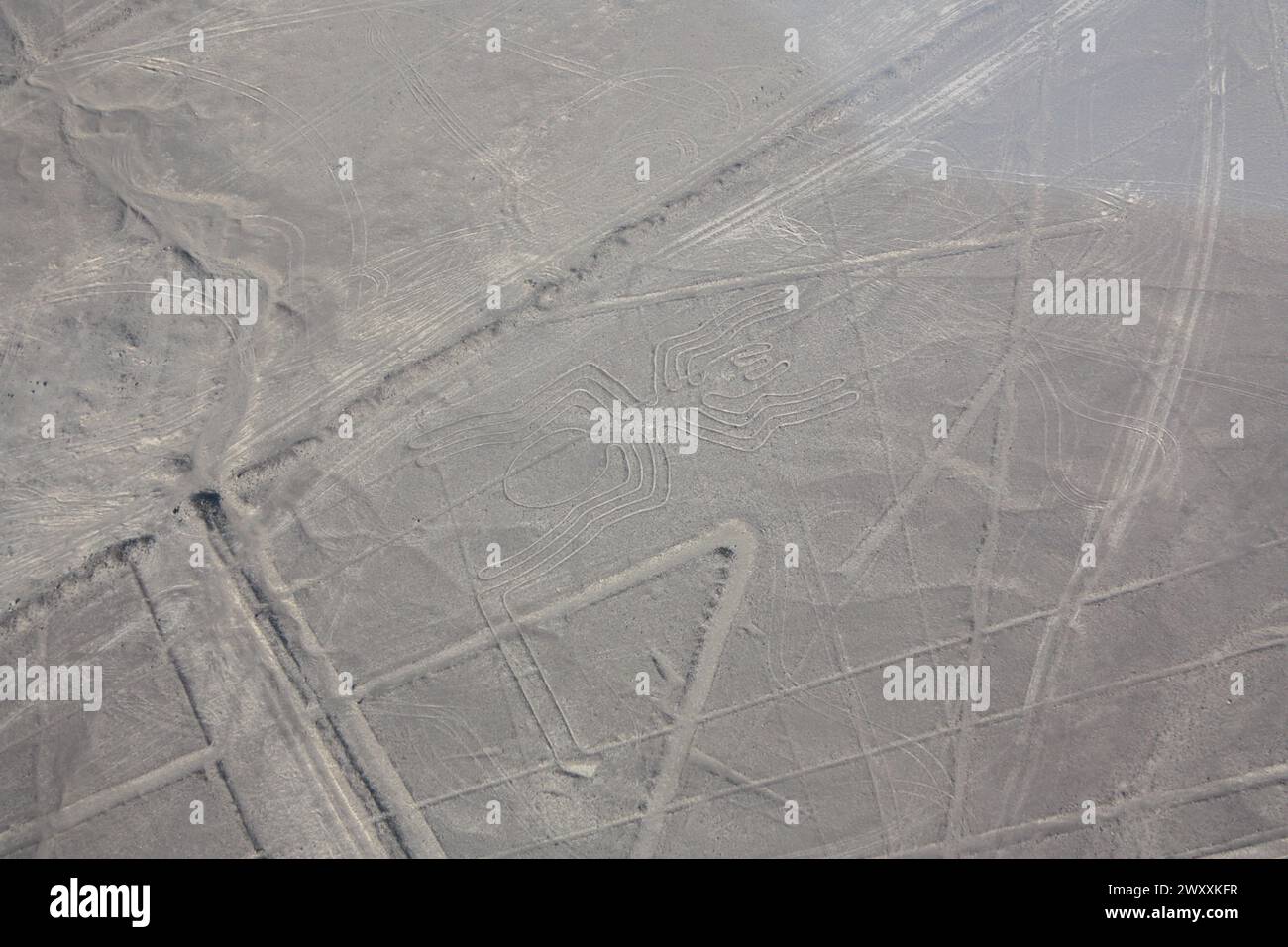 Geoglyph nazca hi-res stock photography and images - Alamy
