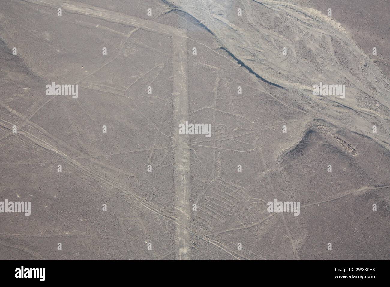 Unesco heritage nazca lines hi-res stock photography and images - Alamy