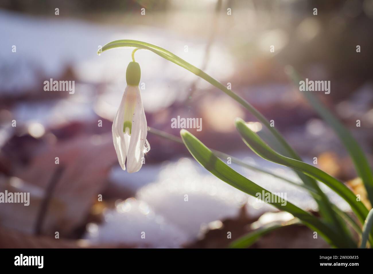 Spring vibe hi-res stock photography and images - Alamy