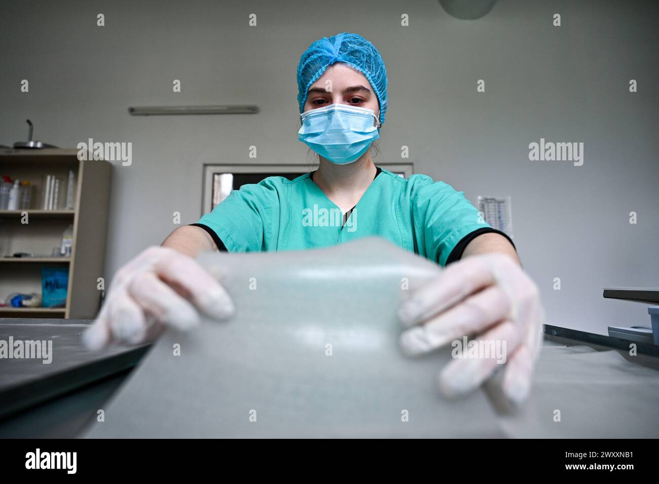 LVIV, UKRAINE - APRIL 02, 2024 - A chemist sterilizes medicinal ...