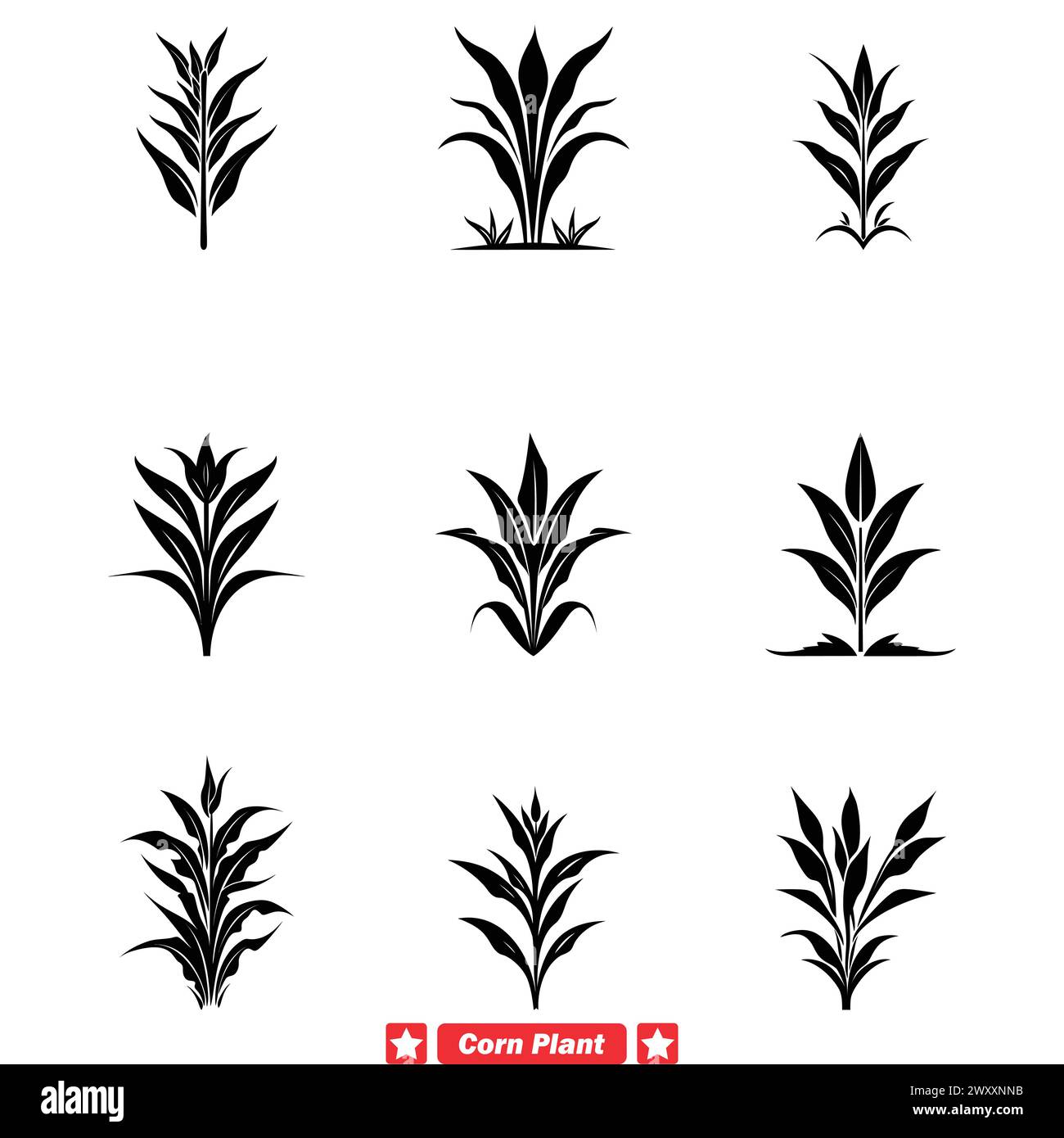 Natures bounty Stock Vector Images - Alamy Natures bounty Stock Vector Images - Alamy