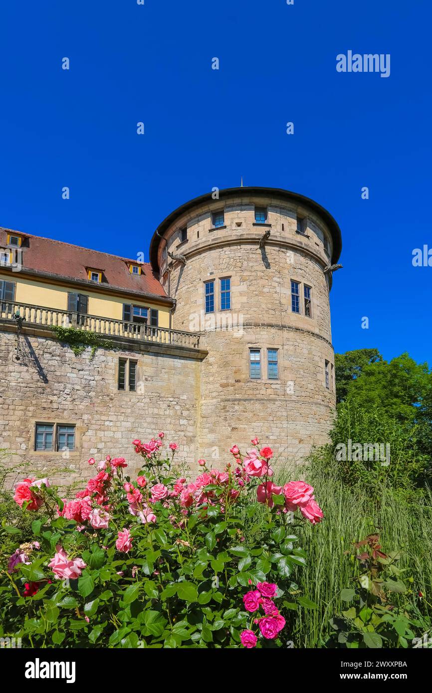 Hohentuebingen Palace, tower, masonry, Museum of the University of ...