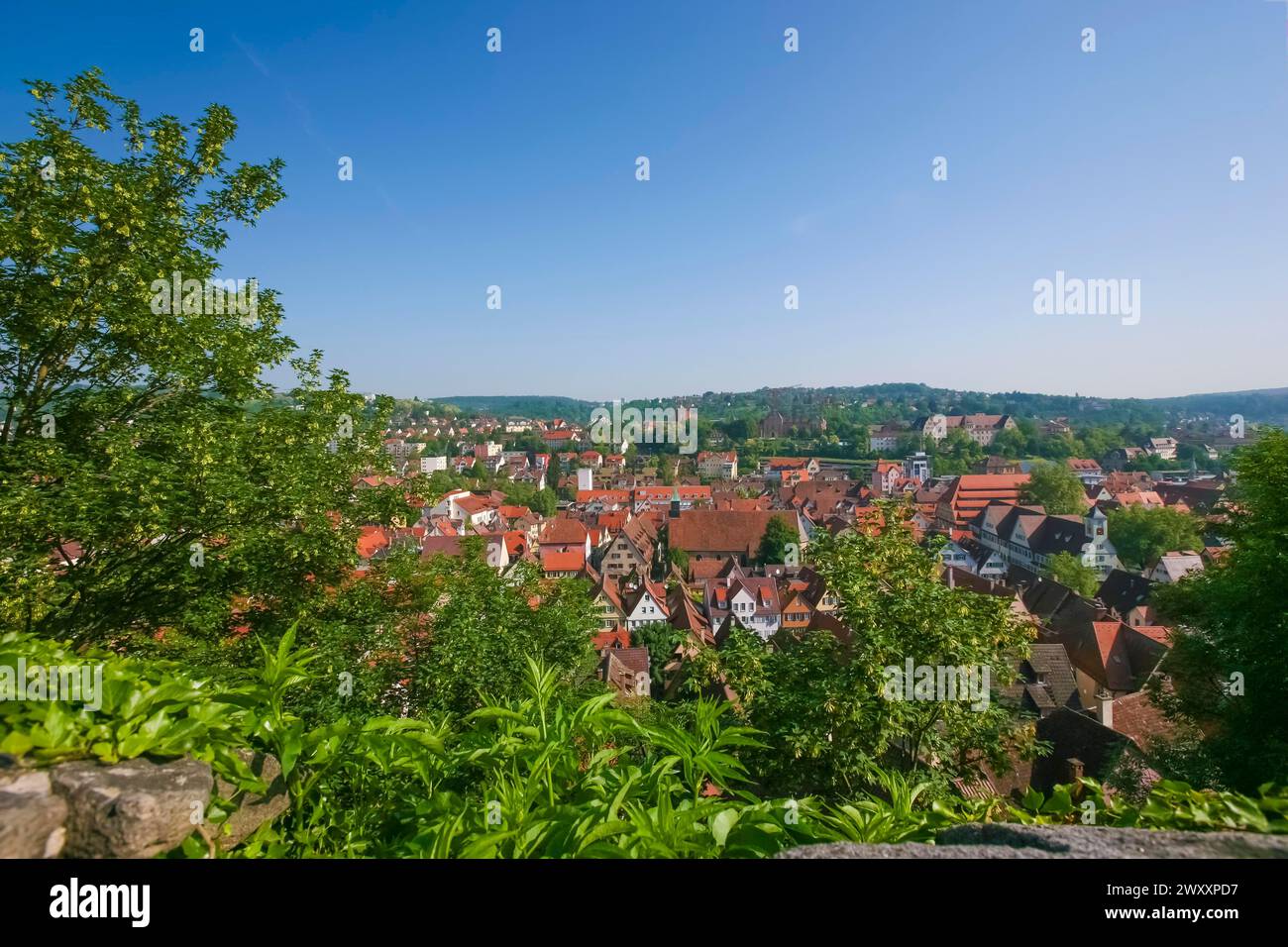 View of Tuebingen from Hohentuebingen Castle, Houses, Buildings ...