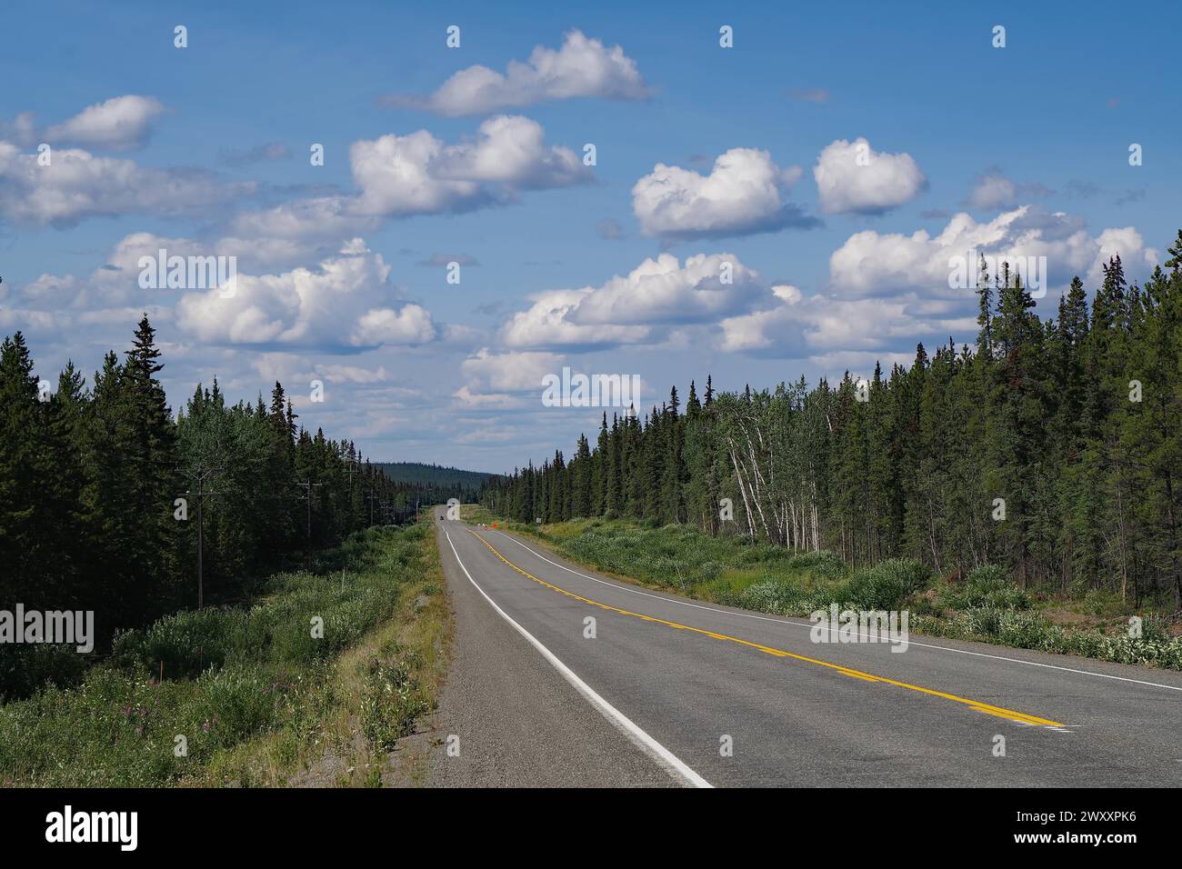 Endless straight road without traffic, Klondike Highway Stock Photo - Alamy