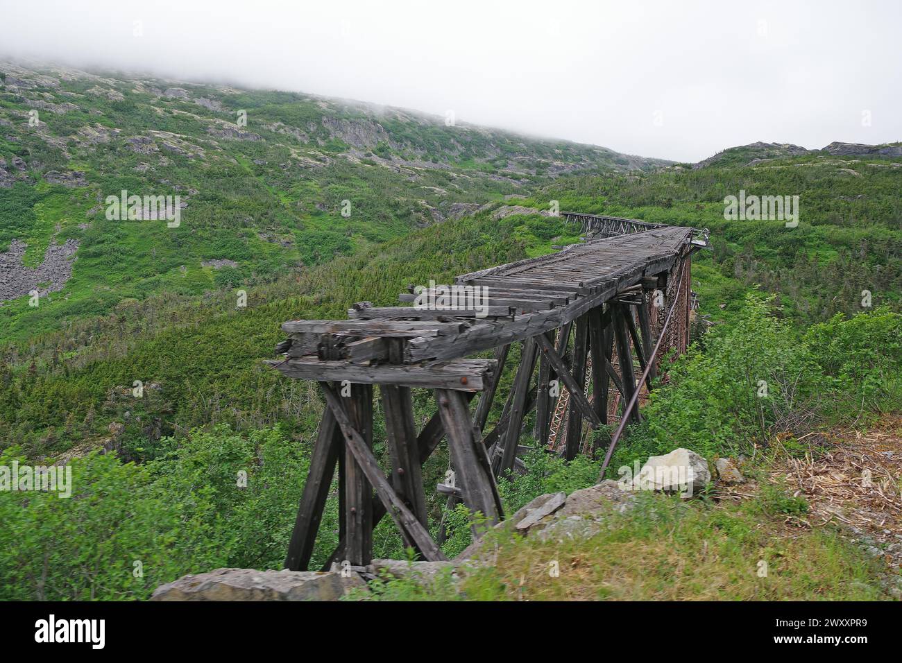 Remains of an old wooden railway bridge, wilderness, mountain landscape ...