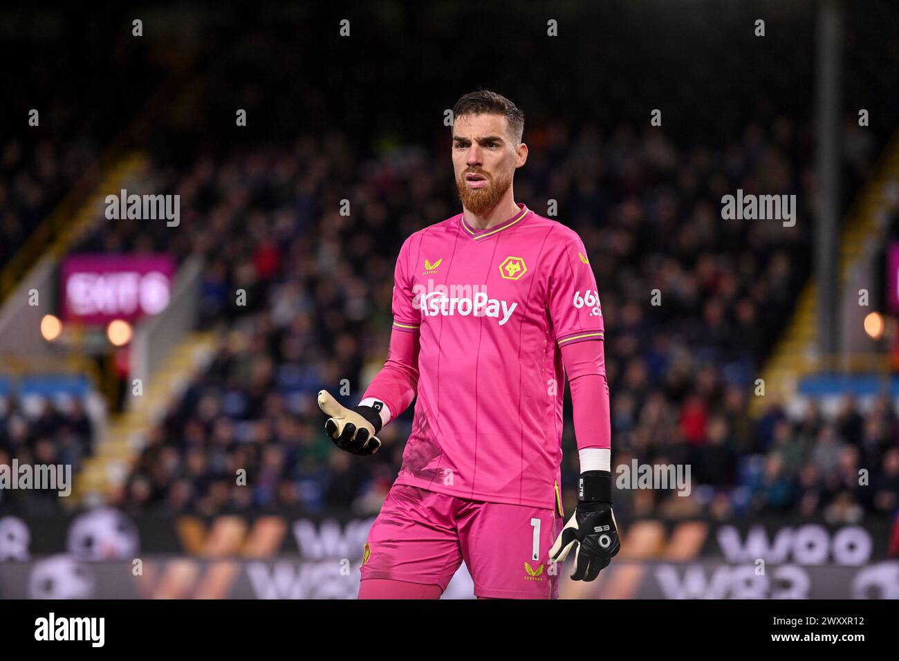 Jose sa wolves hi-res stock photography and images - Alamy