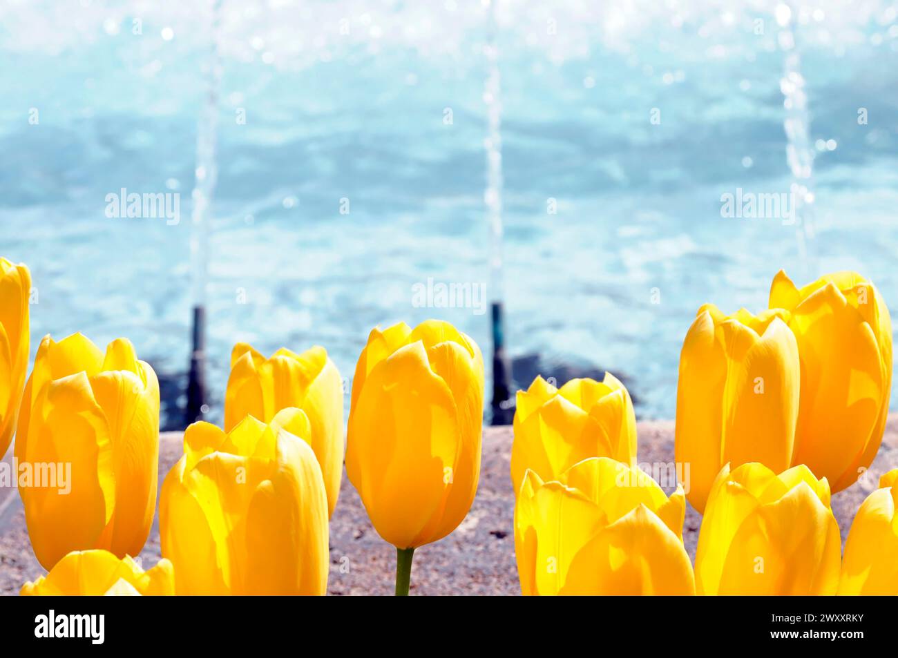 Casino of Monaco, Place du Casino, Monte Carlo, Principality of Monaco ...