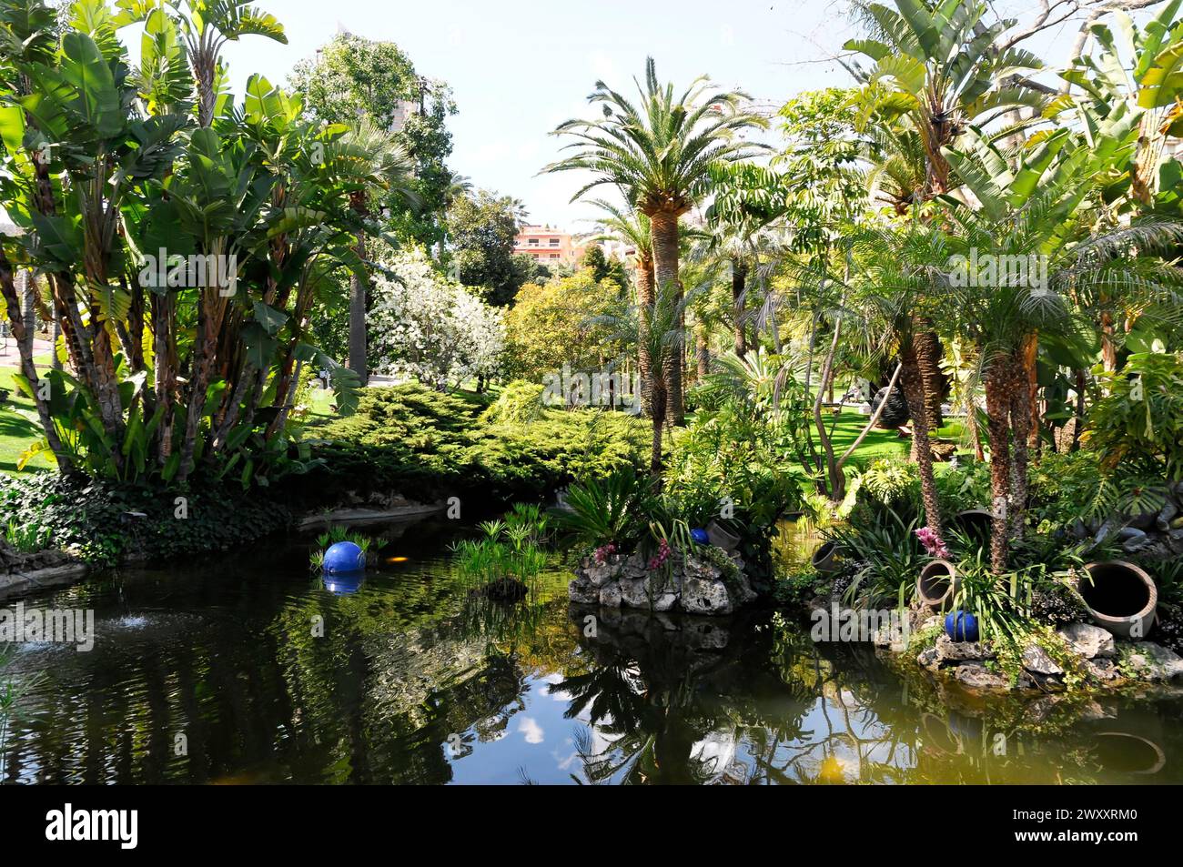 An idyllic pond scene surrounded by lush greenery and artistic ...