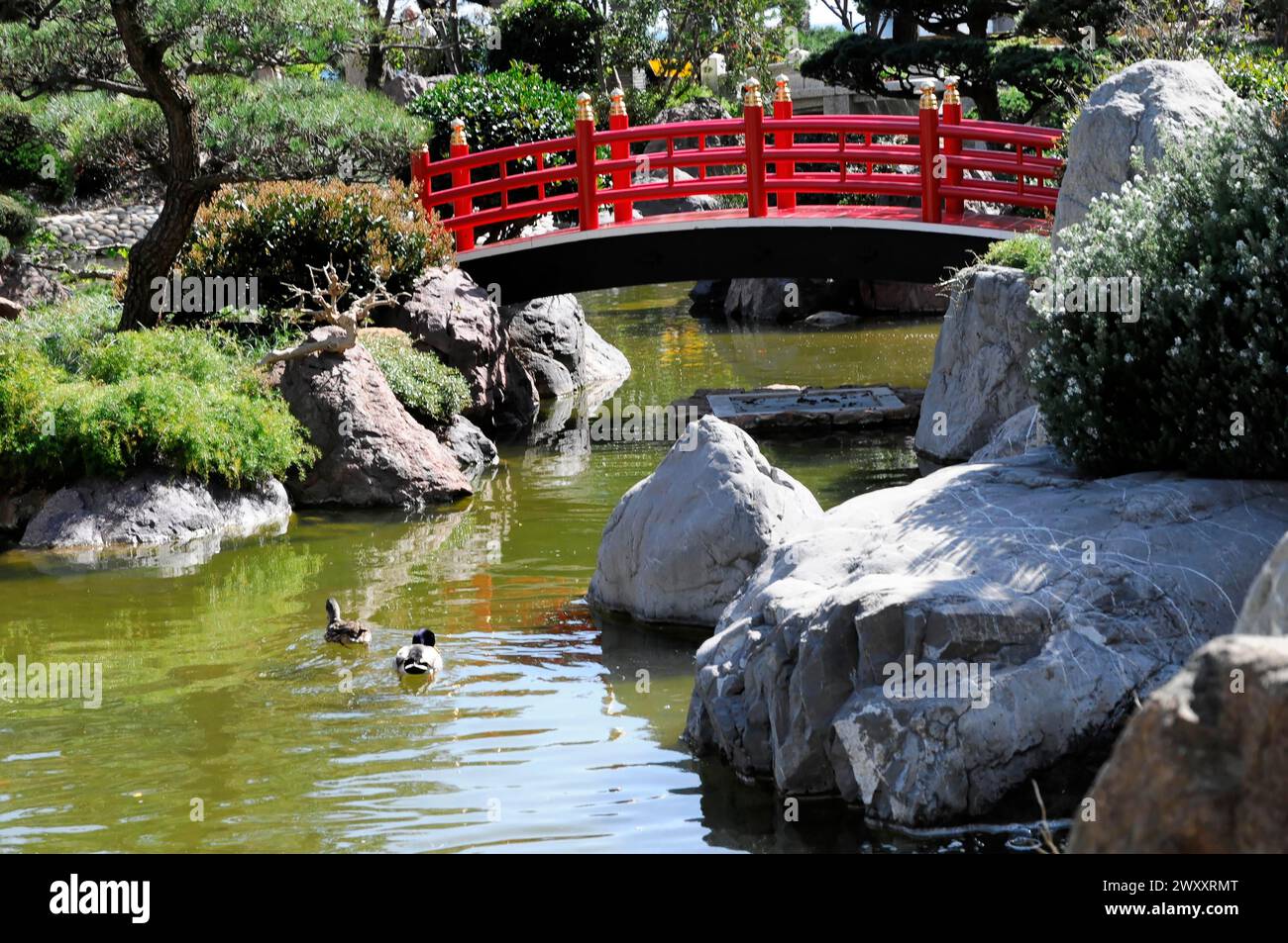 Japanese red cross hi-res stock photography and images - Alamy
