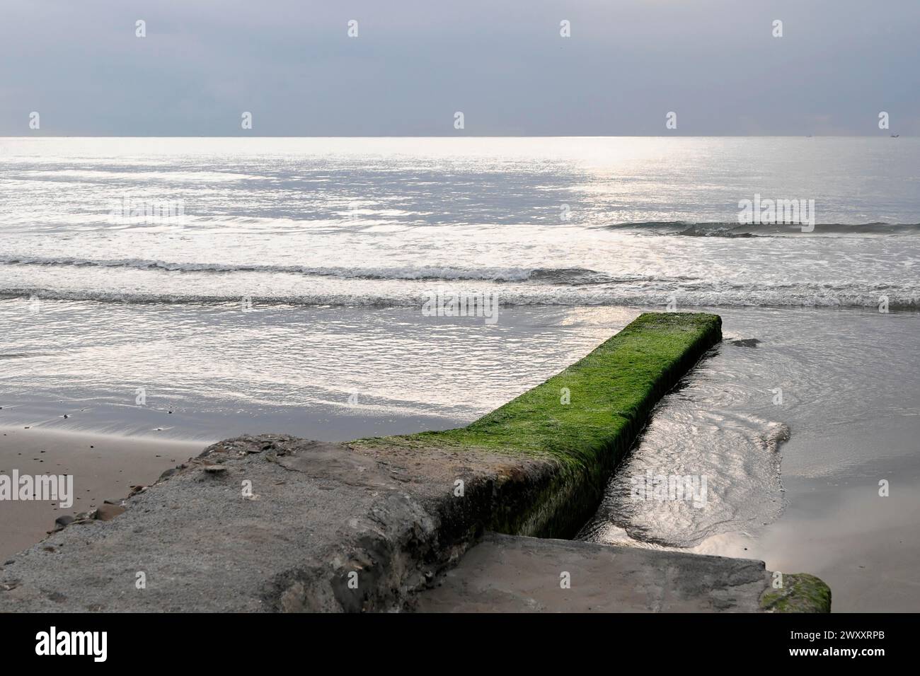 A wave-wrapped structure with algae overgrowth juts out into calm ...