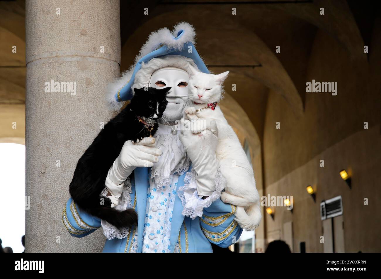 Person in traditional carnival costume with two cats, Nice, Cote d'Azur ...