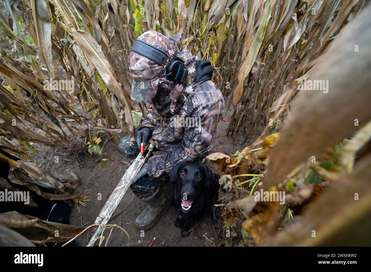 Hunter loads his self-loading shotgun in the umbrella Stock Photo - Alamy