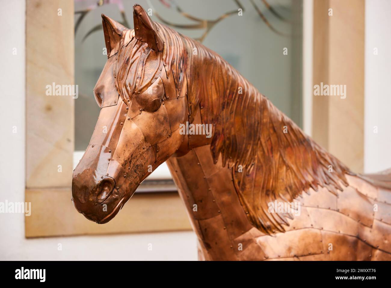 Head of a bronze horse sculpture in the city of horses Warendorf ...