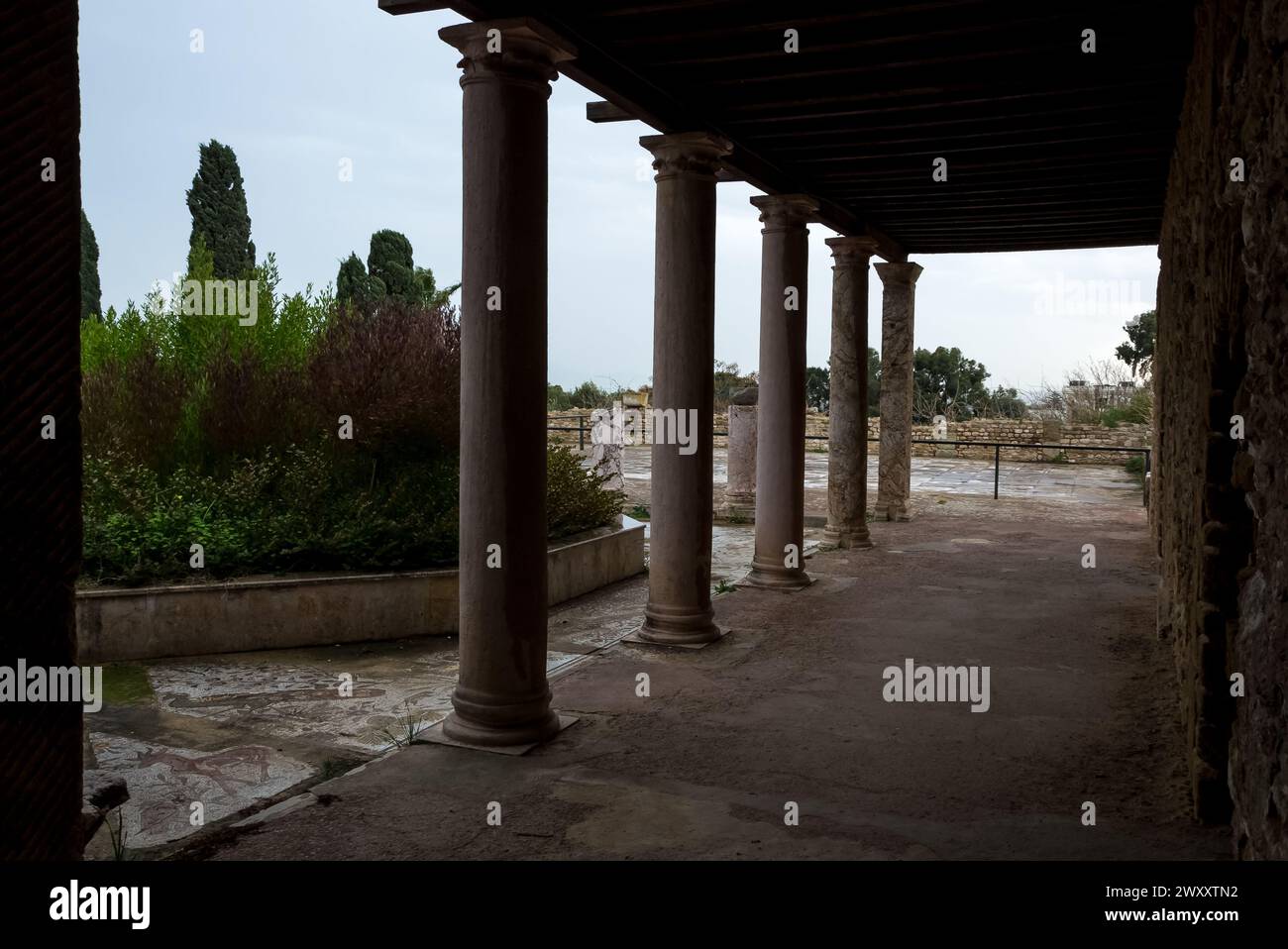 View of the Baths of Antoninus or Baths of Carthage, in Carthage ...