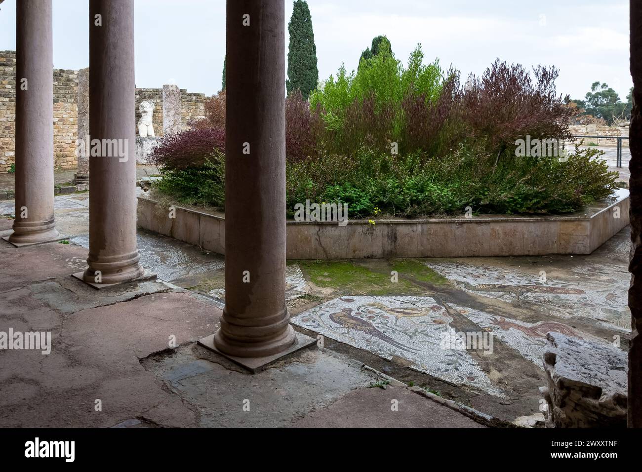 View of the Baths of Antoninus or Baths of Carthage, in Carthage ...