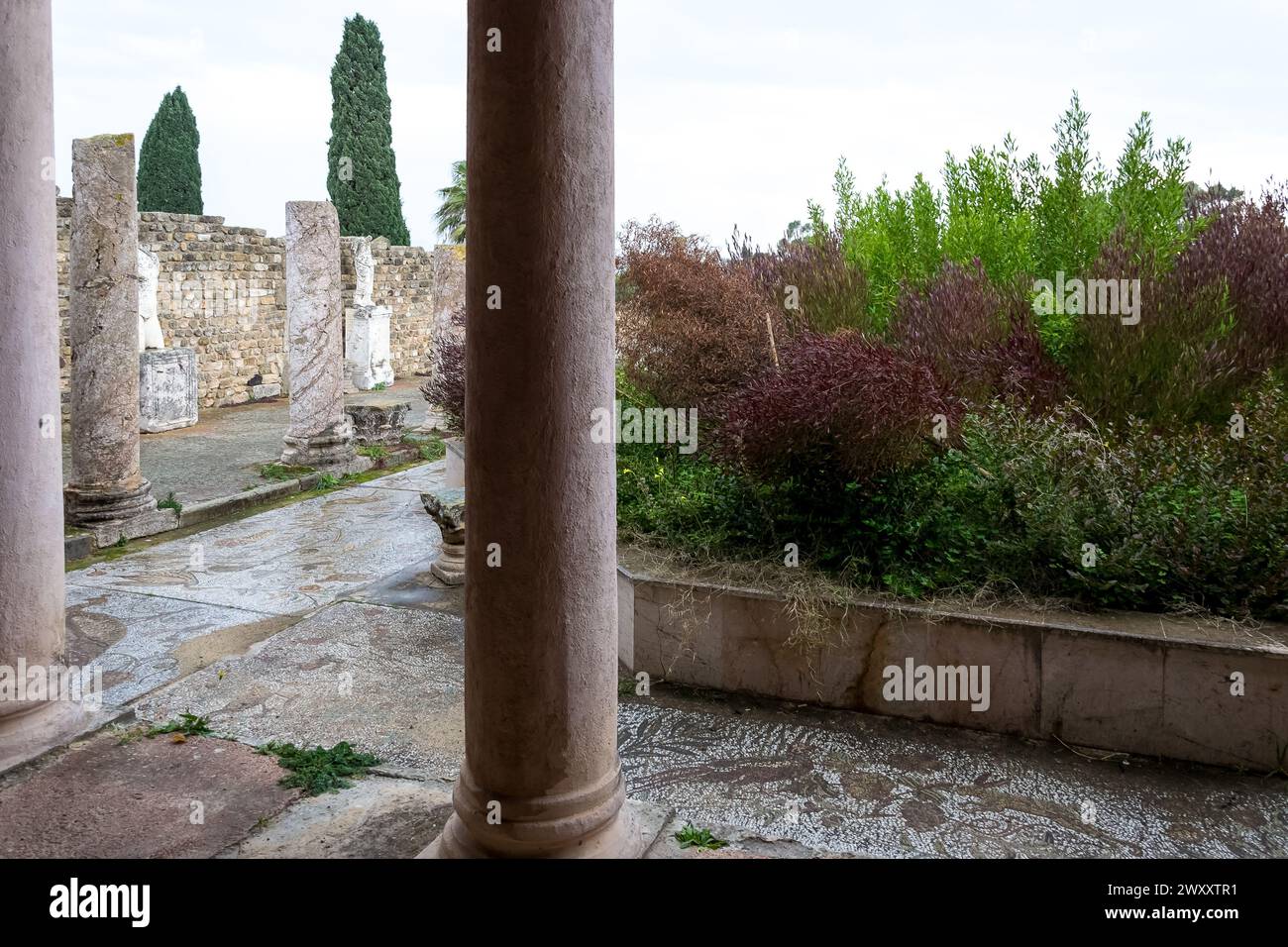 View of the Baths of Antoninus or Baths of Carthage, in Carthage ...