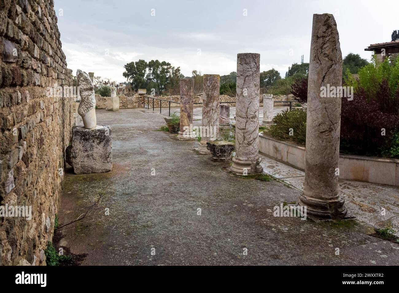 View of the Baths of Antoninus or Baths of Carthage, in Carthage ...