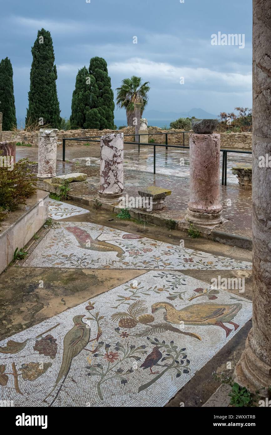 View of the Baths of Antoninus or Baths of Carthage, in Carthage ...