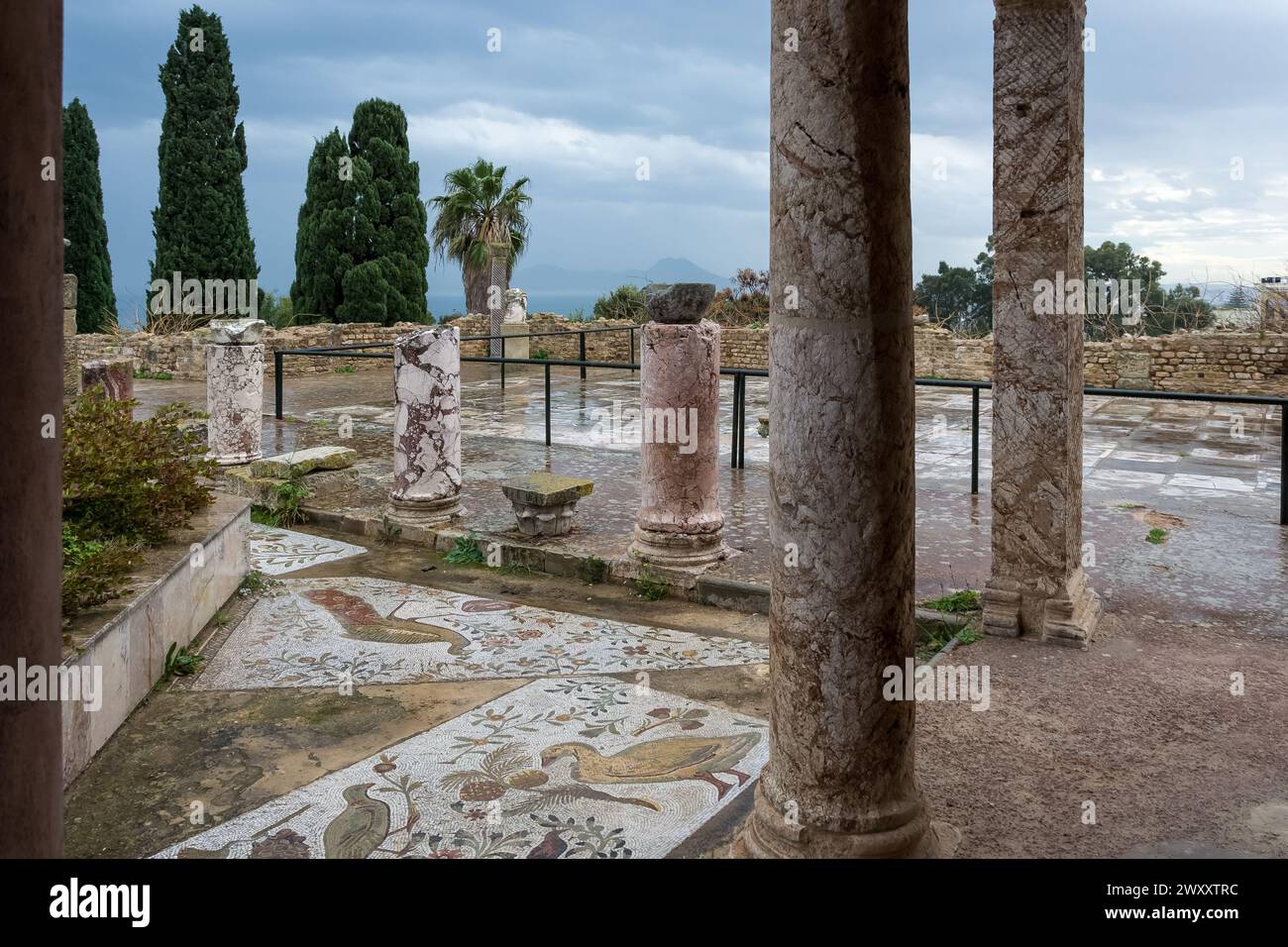 View of the Baths of Antoninus or Baths of Carthage, in Carthage, Tunisia, the largest set of ...