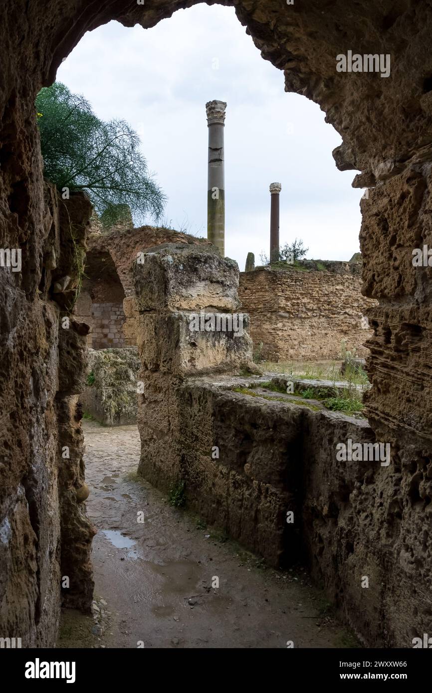 View of the Baths of Antoninus or Baths of Carthage, in Carthage ...
