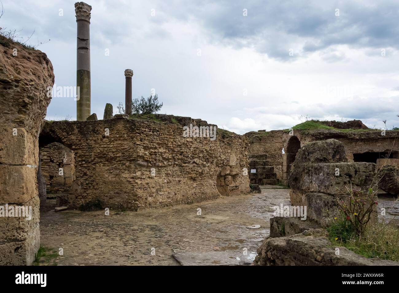 View of the Baths of Antoninus or Baths of Carthage, in Carthage ...