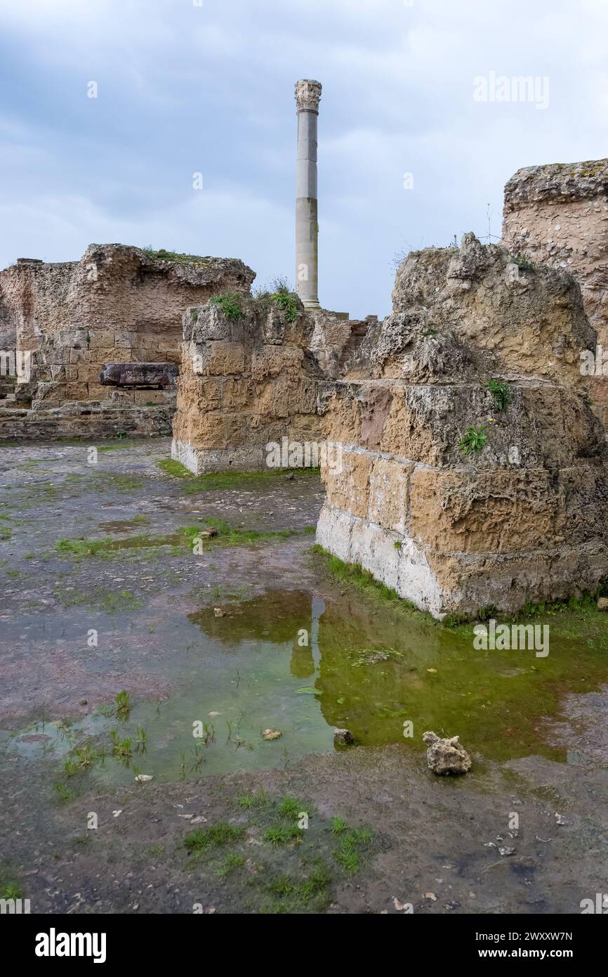 View of the Baths of Antoninus or Baths of Carthage, in Carthage, Tunisia, the largest set of ...