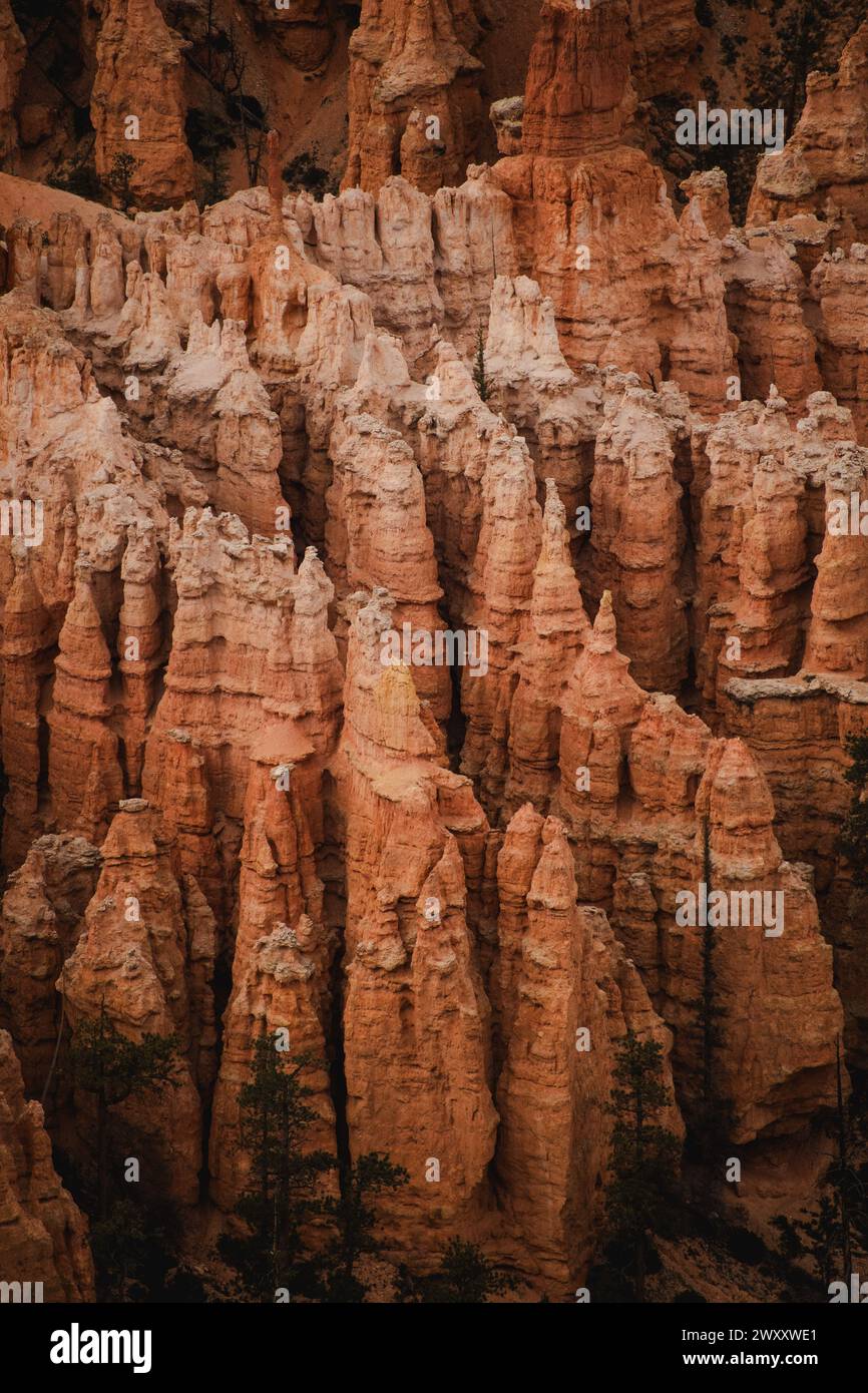 View towards the Hindu Temples hoodoo rock formations in Bryce Canyon ...