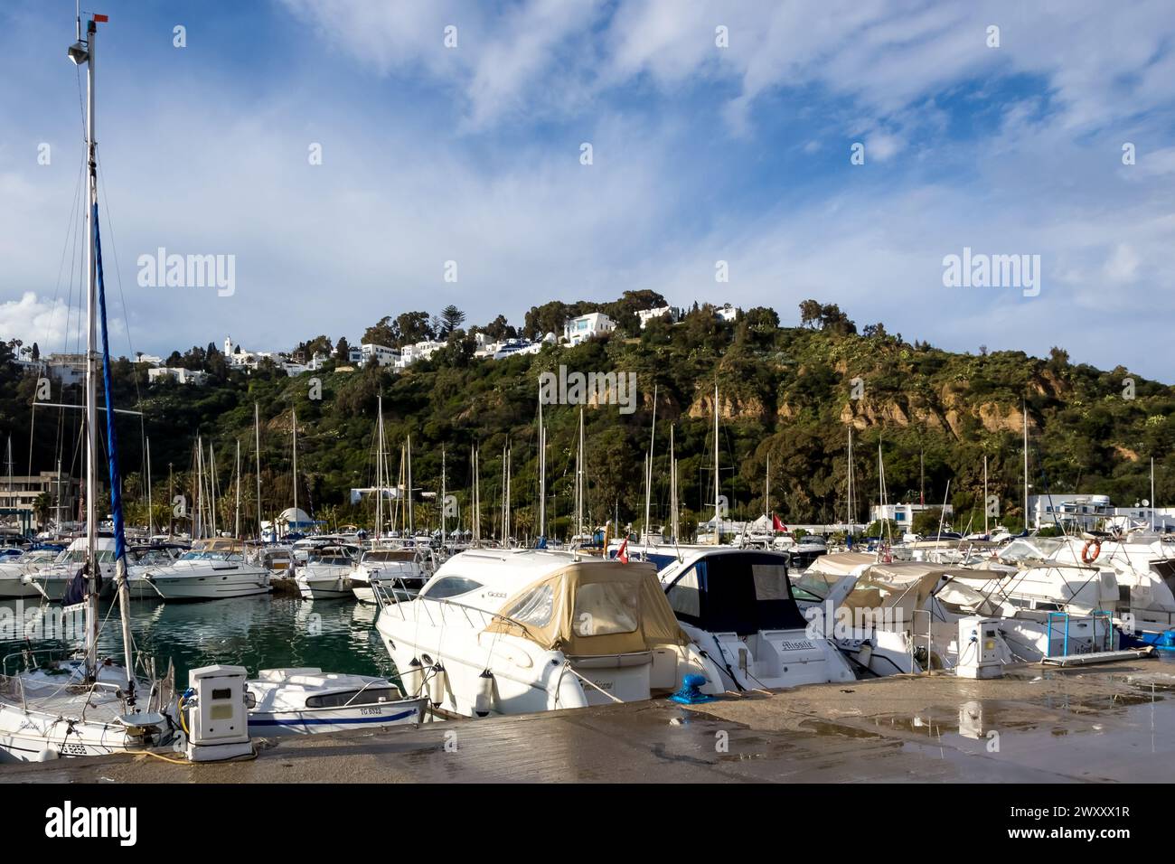 View of the port of Sidi Bou Said, a picturesque town and popular ...