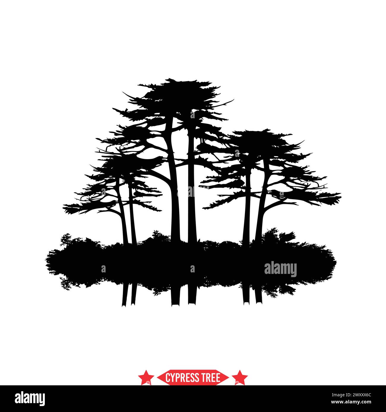 Graceful Cypress Tree Vector Illustrations Artistic Nature Designs ...