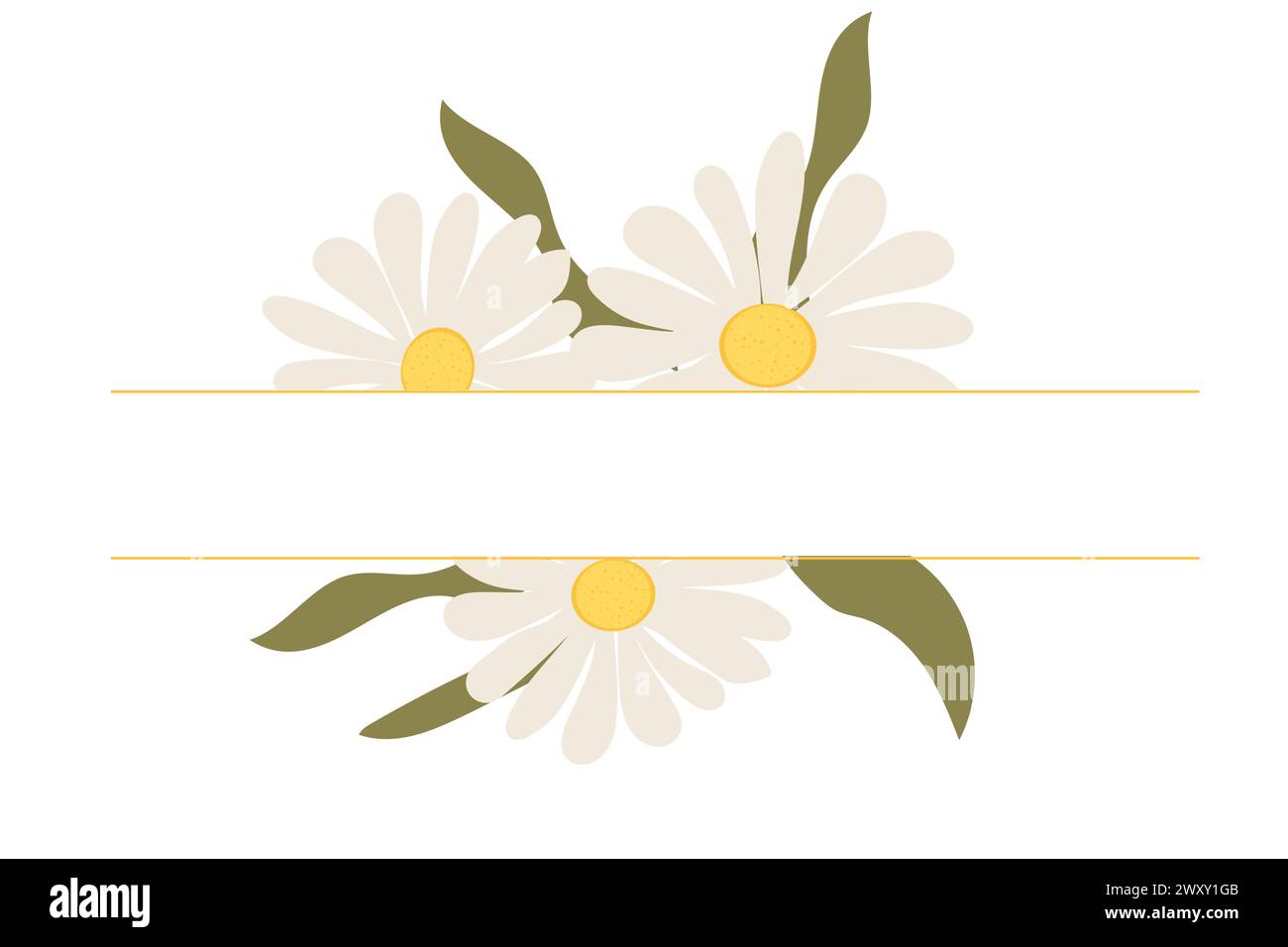 Daisy thin line frame monogram, border with flowers and leaves isolated ...