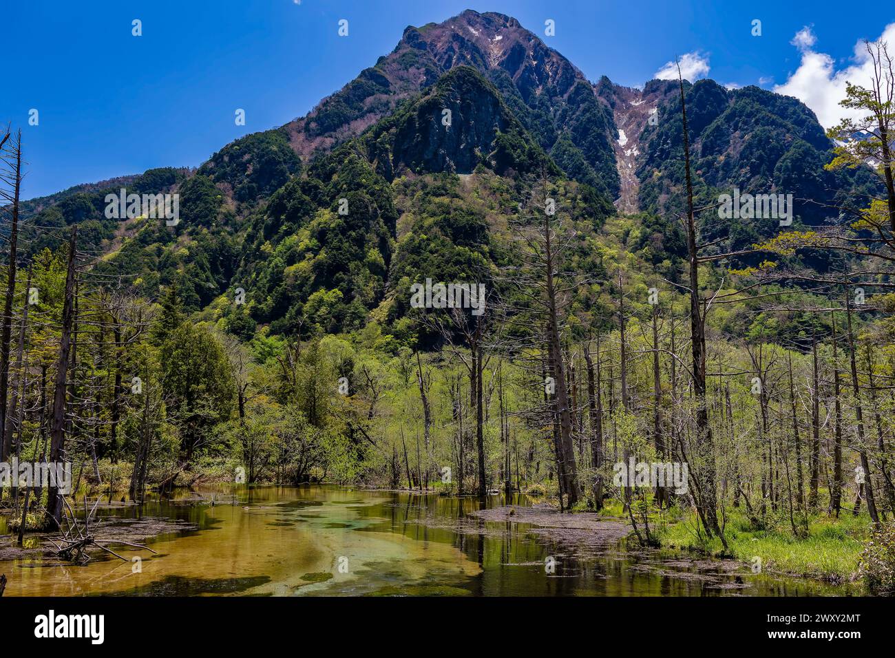 Brown pond surrounded by lush forest in front of steep, high mountain peaks (Kamikochi, Japan ...