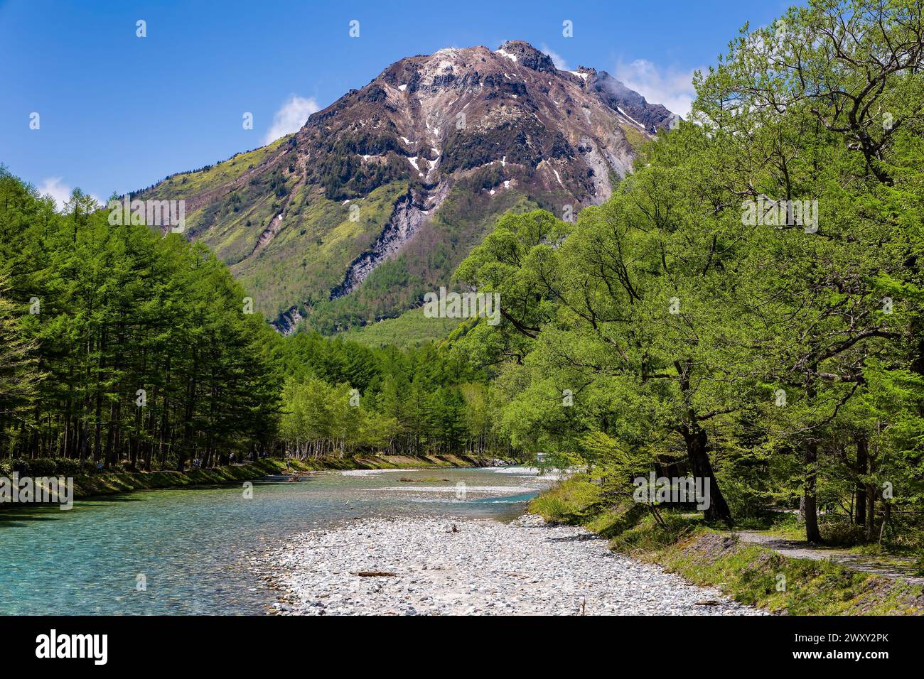 Fast flowing clear river running through a forest and mountains Stock ...